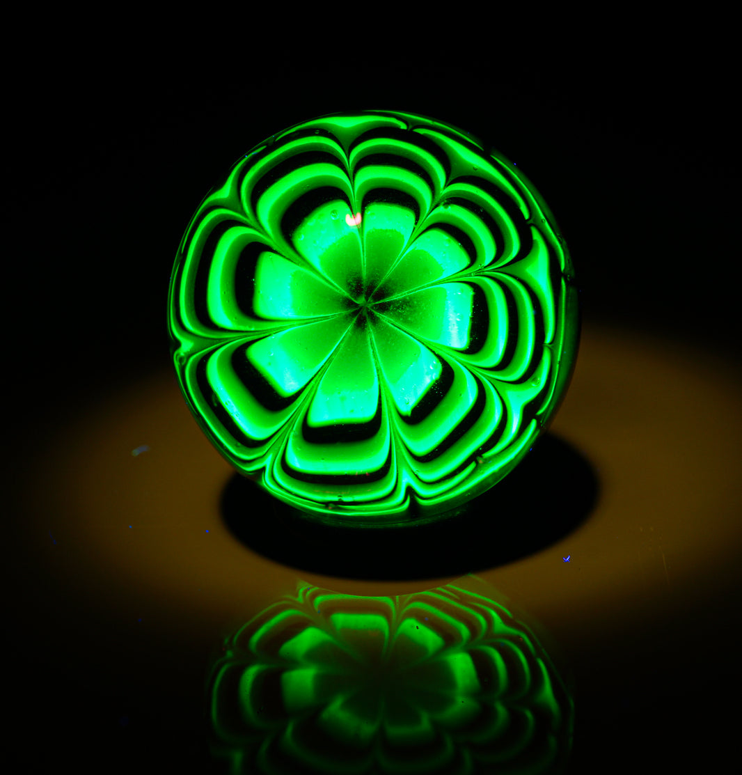 Heady Hawaii Glass Gallery – H. Hawaii